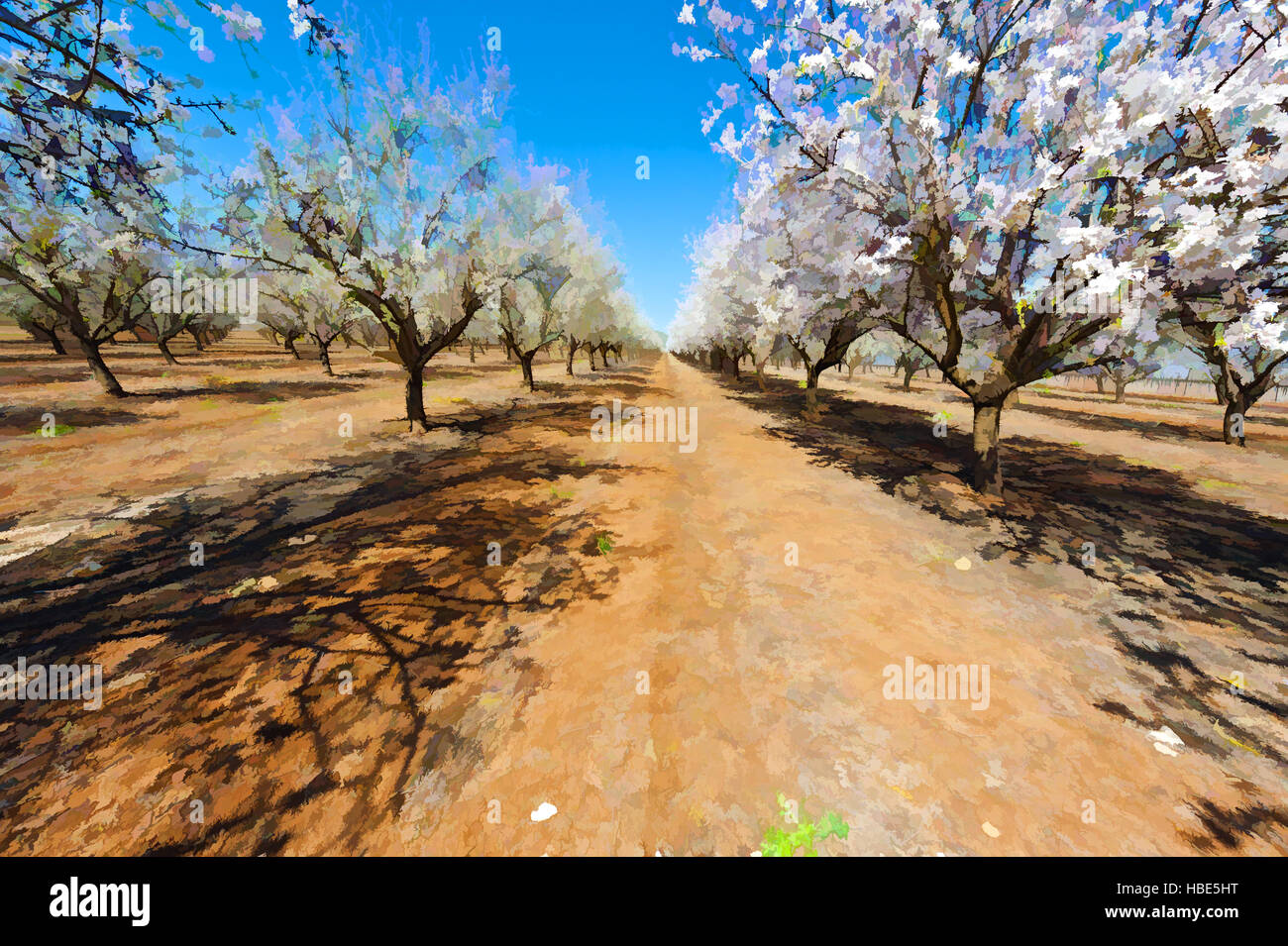 Flowering Almond Garden Stock Photo - Alamy