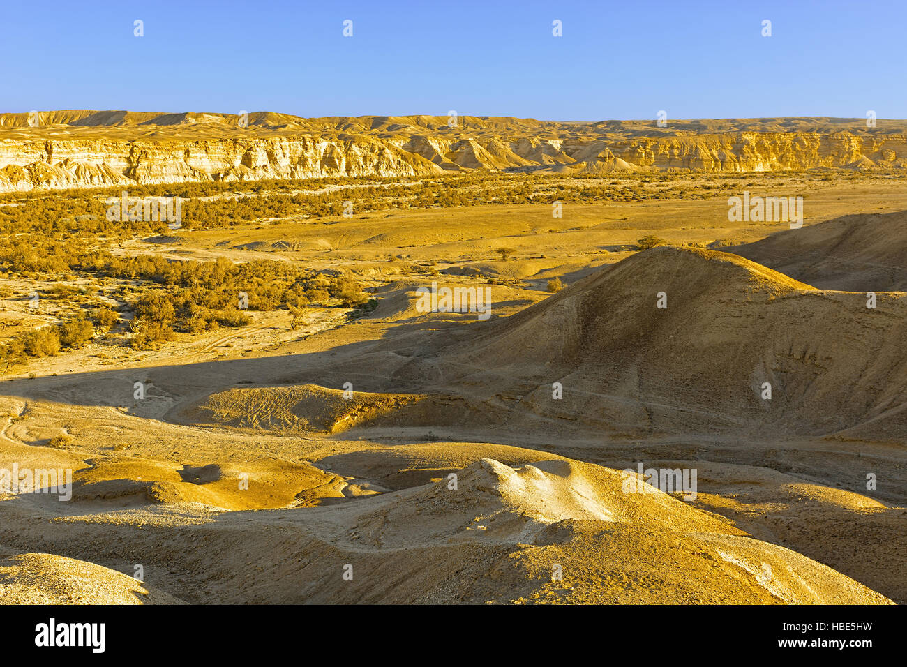 Desert in Israel Stock Photo - Alamy