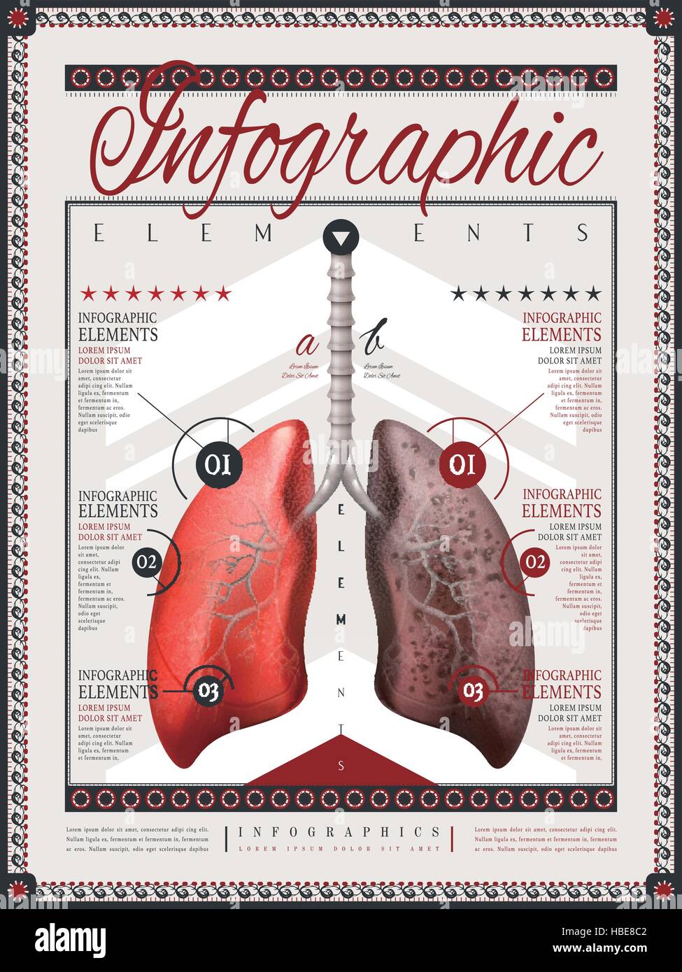 Normal lung hi-res stock photography and images - Alamy