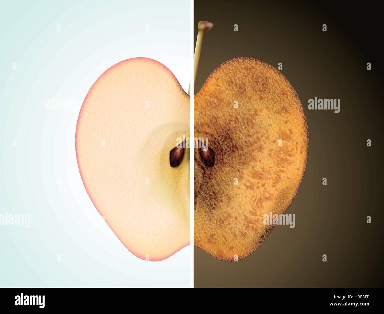 Rotten section Stock Vector Images - Alamy