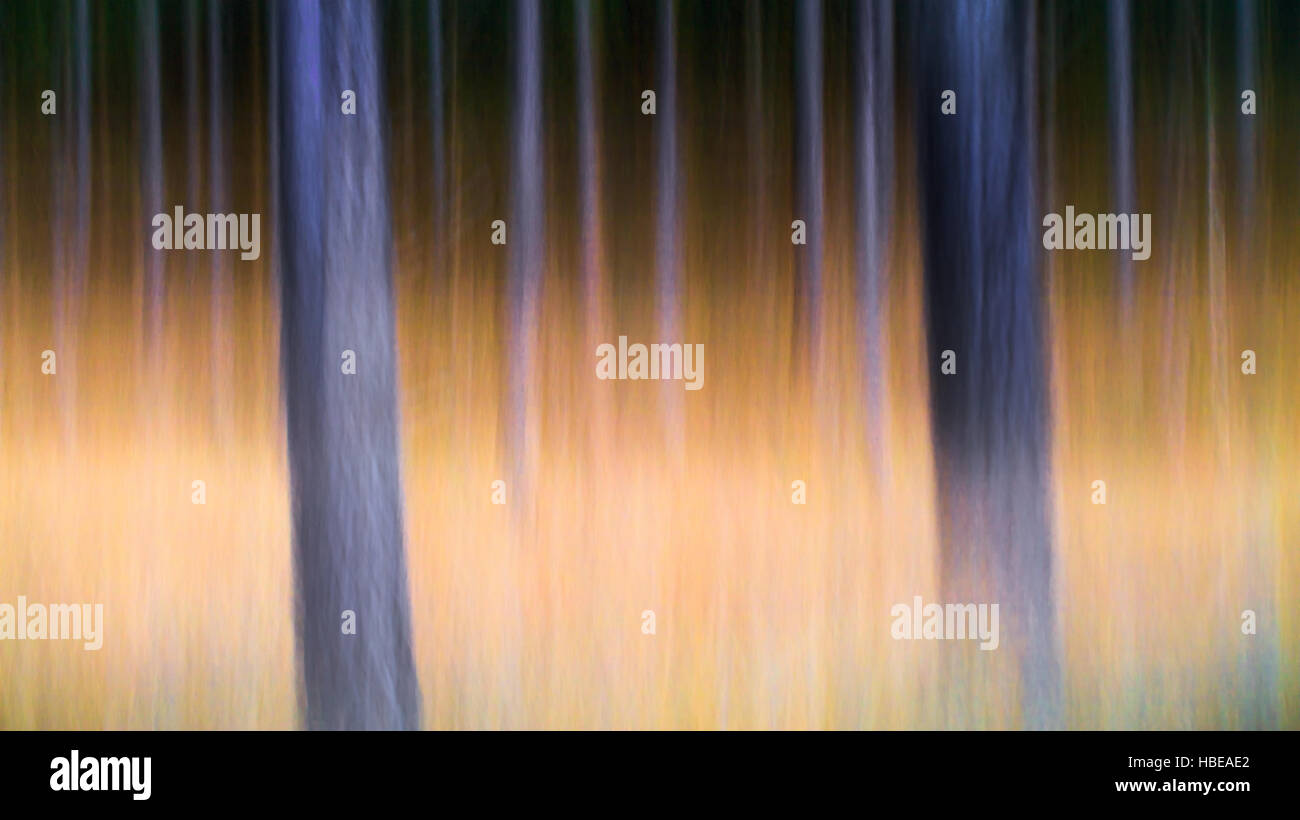 Abstract impressionism hi-res stock photography and images - Alamy