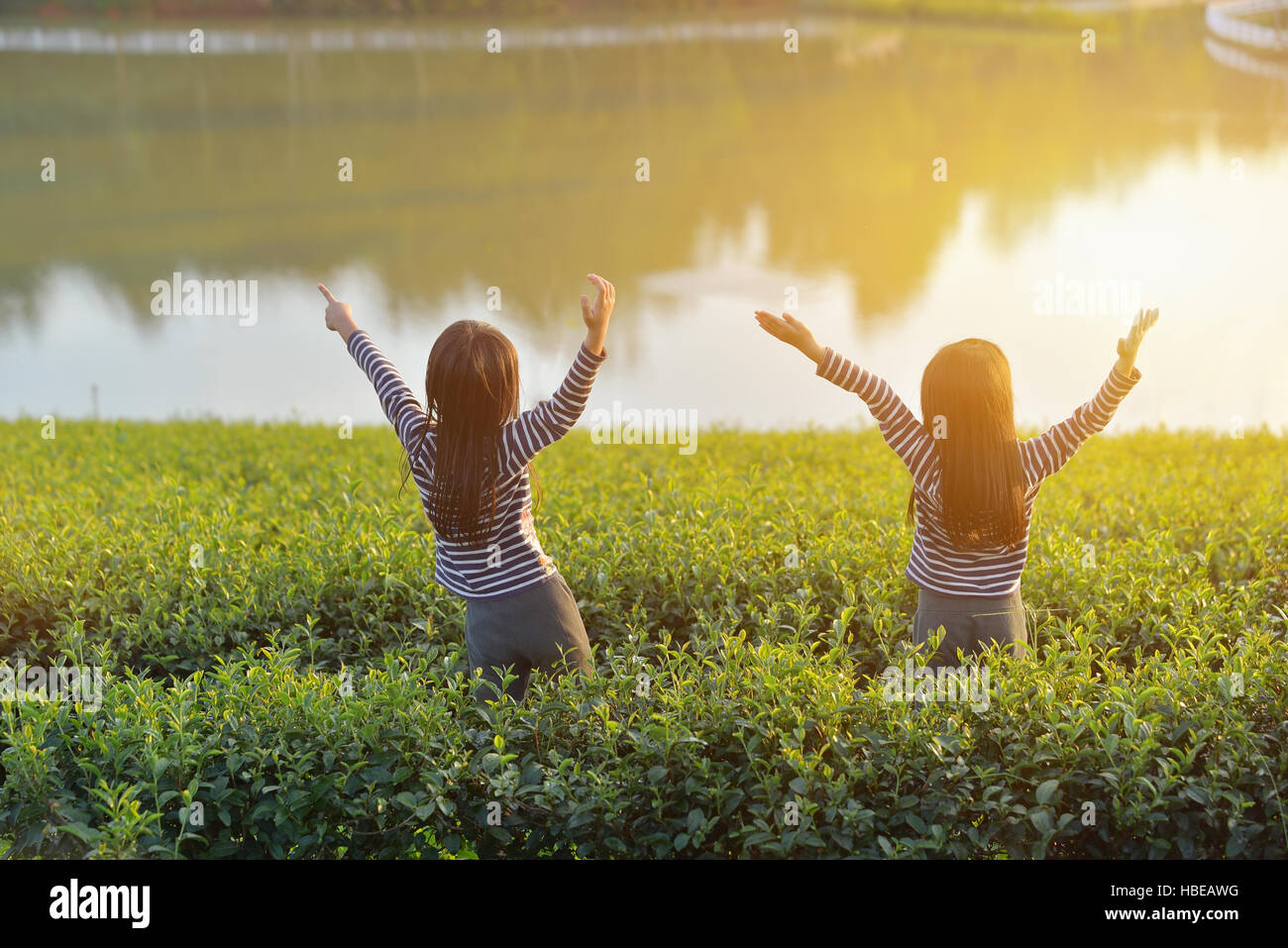 Happy two asian children in back side with hand up and happy in farm ...