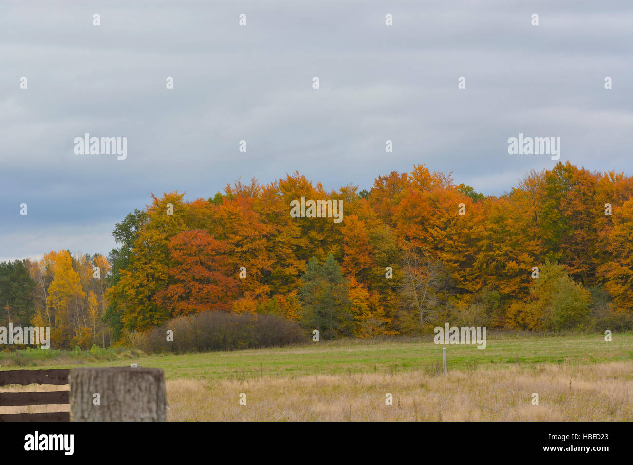 Other colors hi-res stock photography and images - Alamy