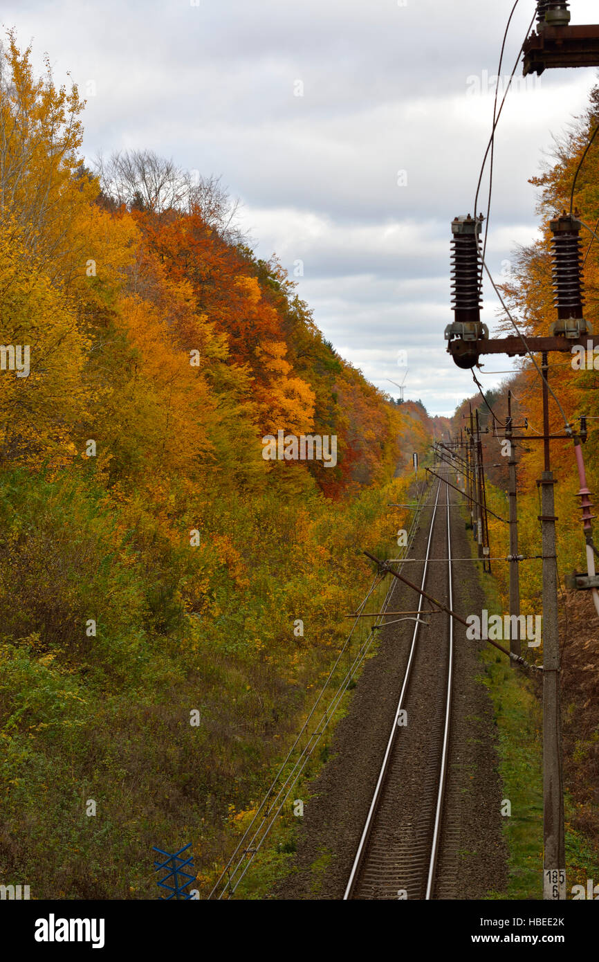 Autumn trees yellow gold and other colors Stock Photo - Alamy
