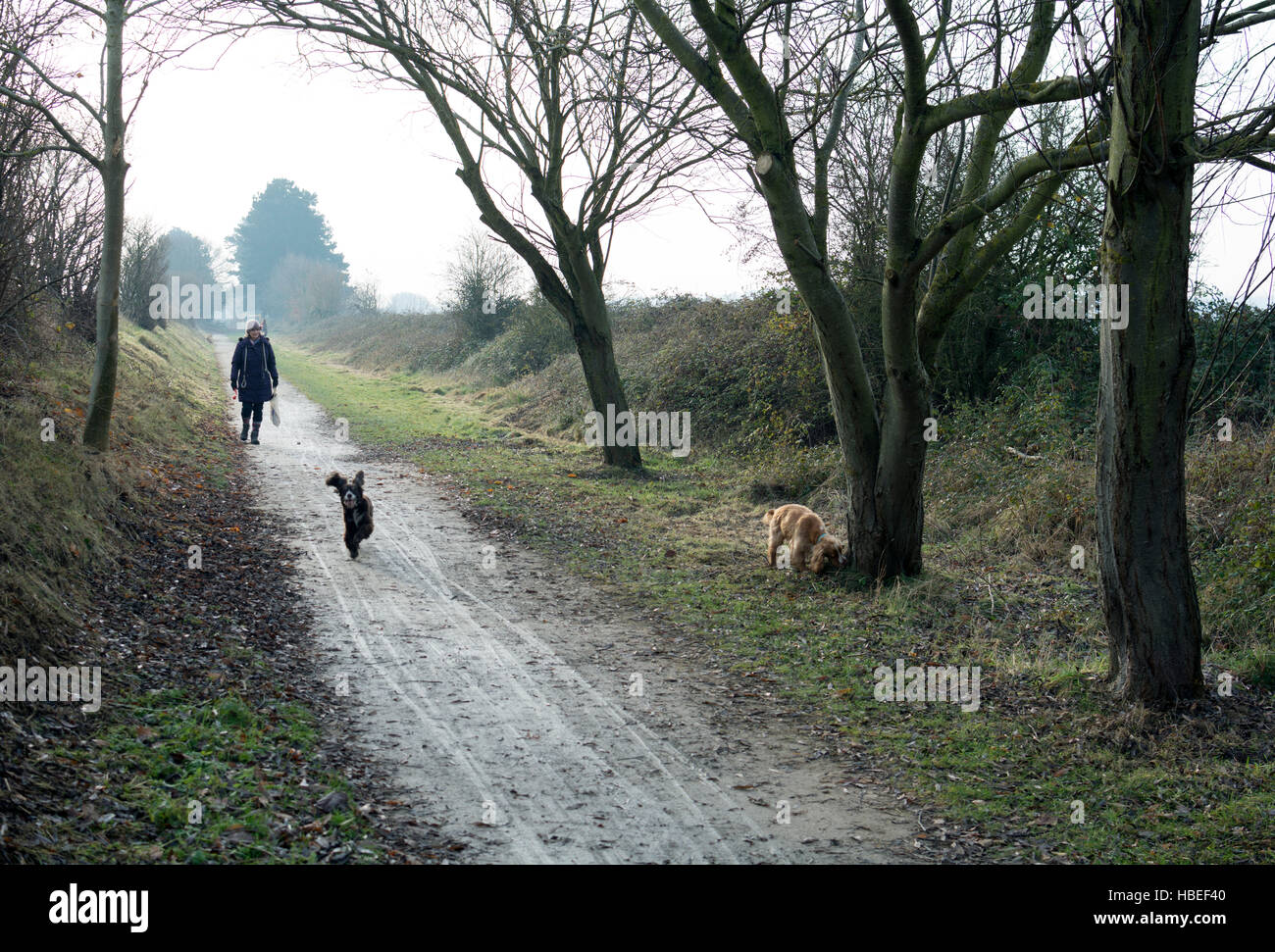 The Greenway path in winter, Stratford-upon-Avon, Warwickshire, England ...