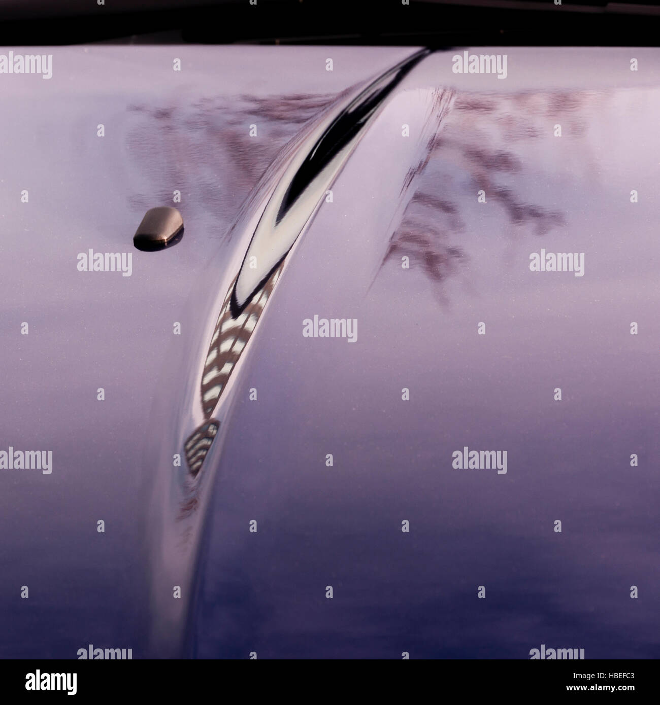 Shiny body hi-res stock photography and images - Alamy