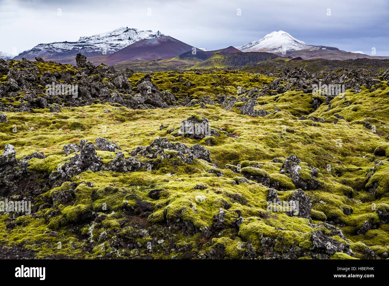 Moss covered lava fields near Grundarfjordur, Snaefellsnes Peninsula ...