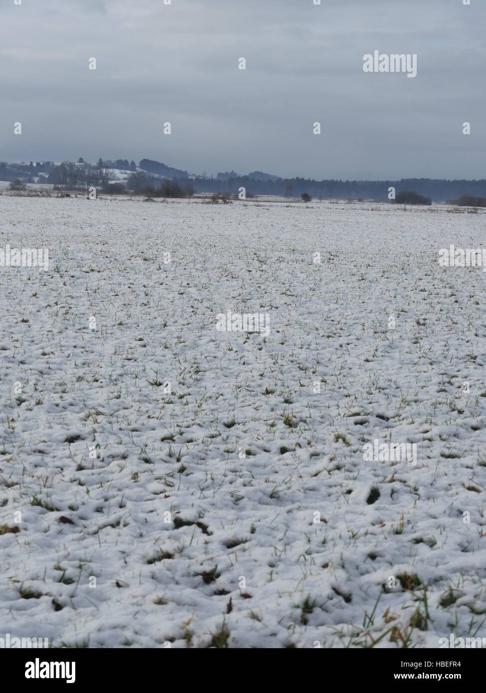 First snow covering green field Stock Photo - Alamy
