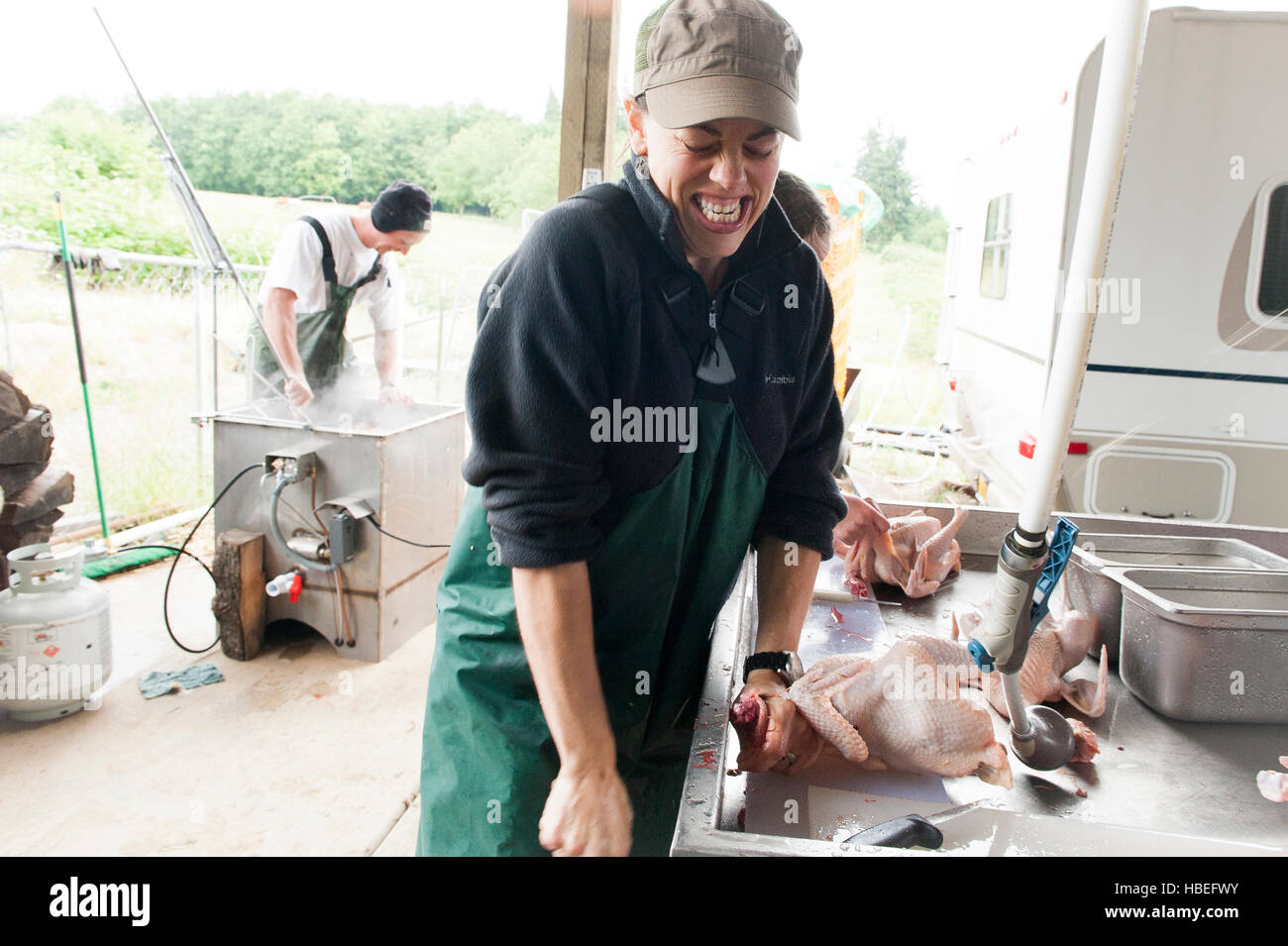 A young farmer snaps the head from a heritage chicken during hand ...