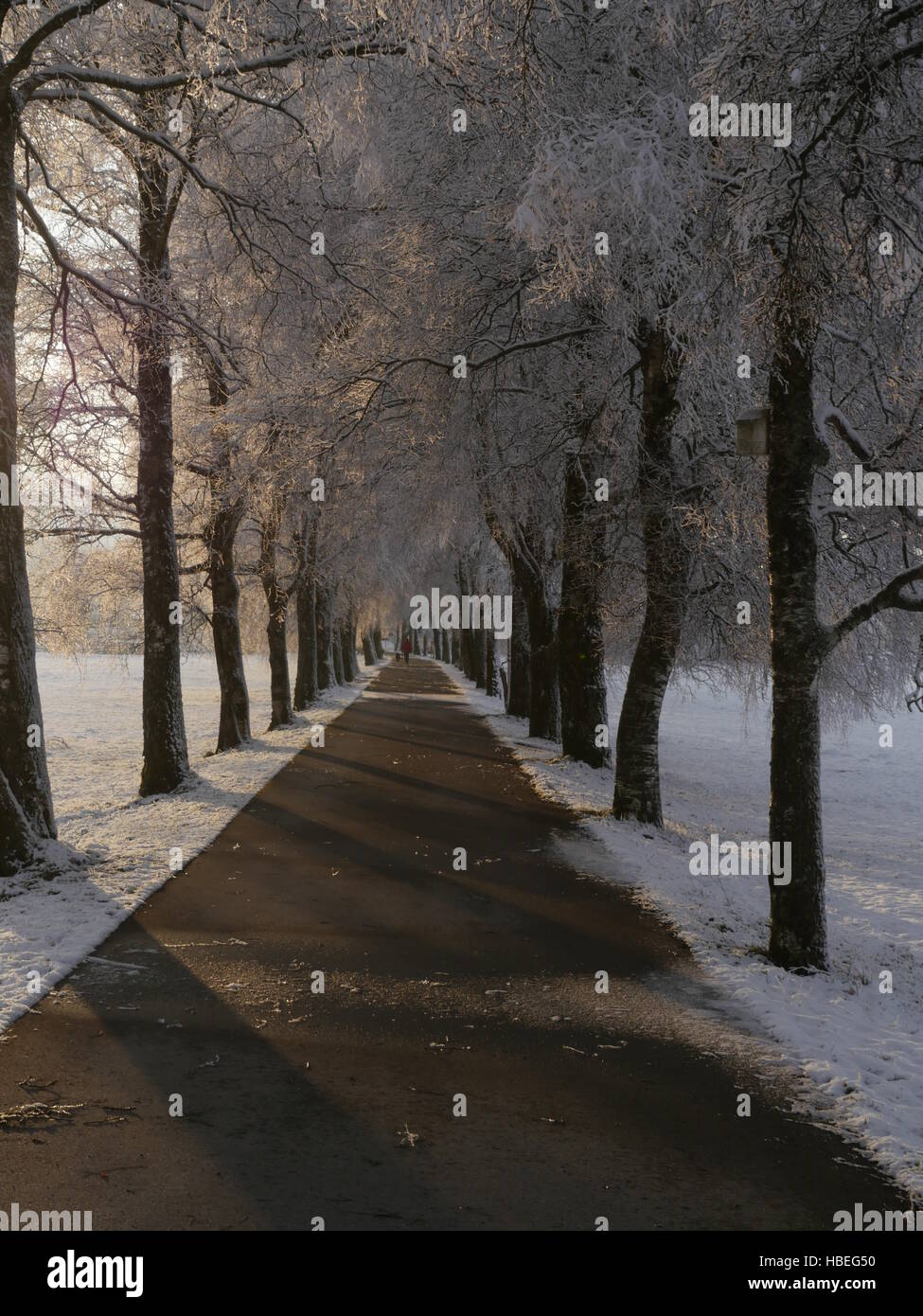 Alley with snow hi-res stock photography and images - Alamy