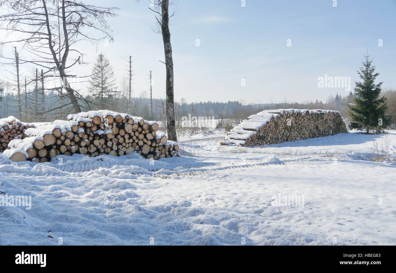 Wood fire outdoors hi-res stock photography and images - Alamy