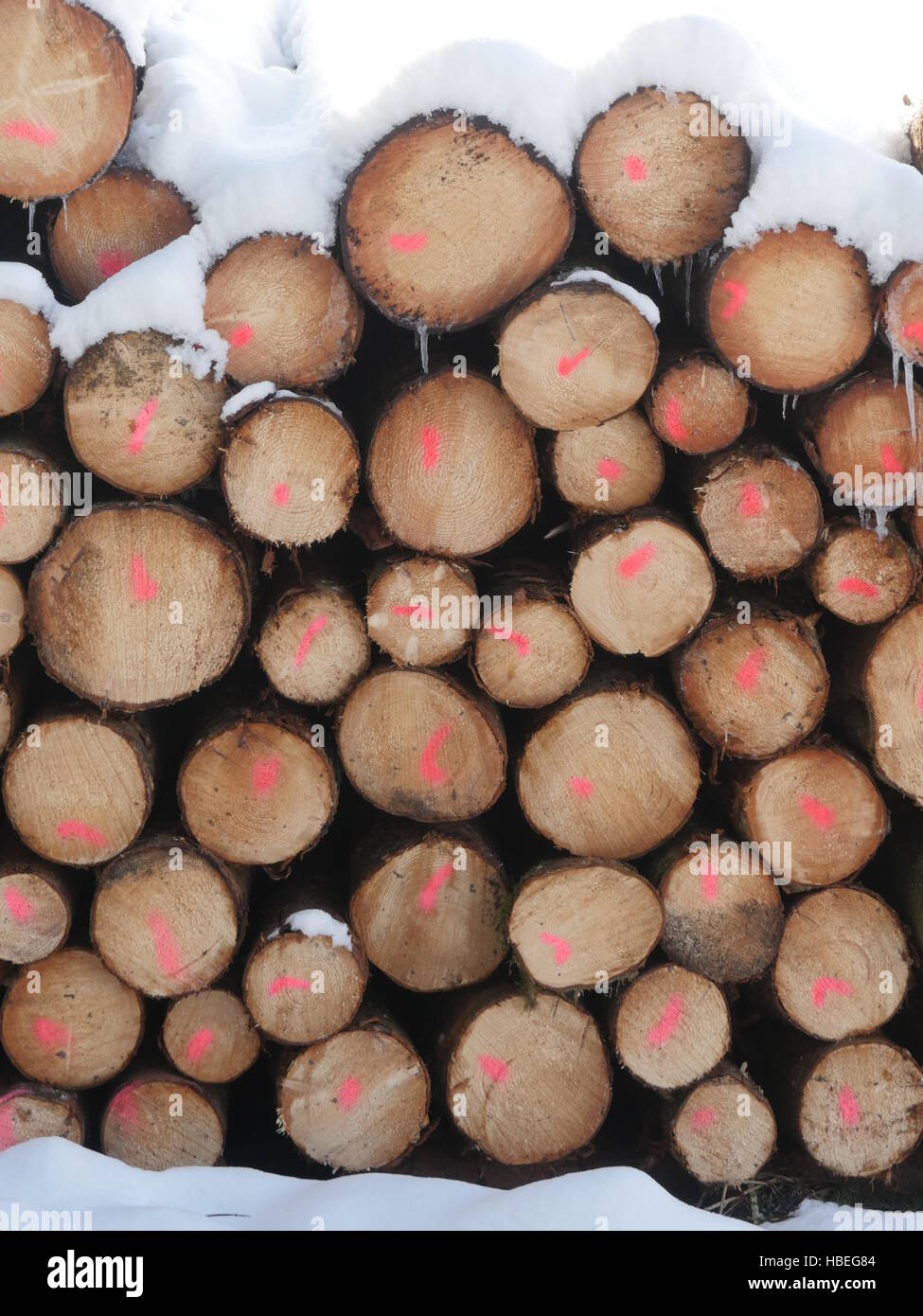 Wood fire outdoors hi-res stock photography and images - Alamy