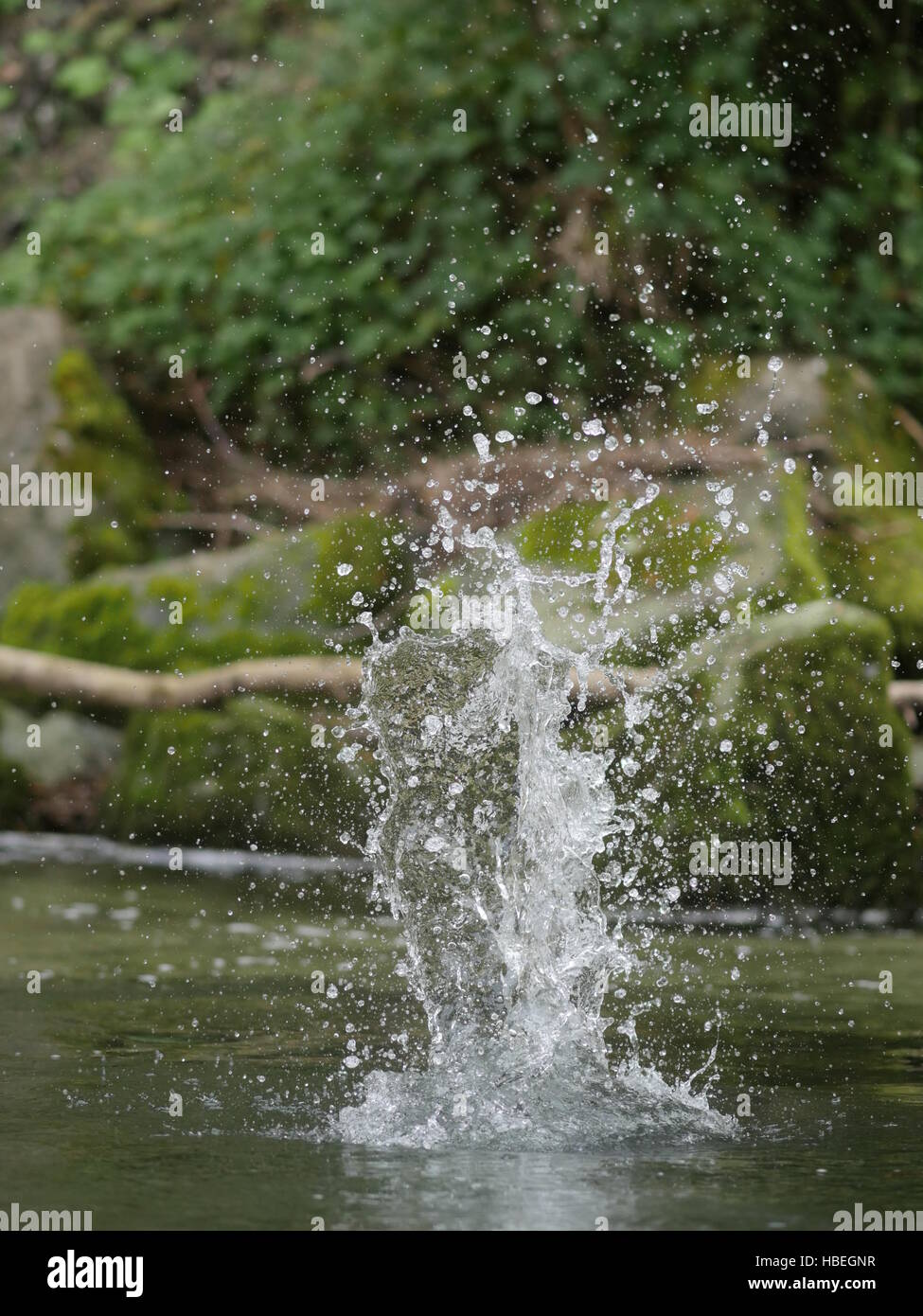 Force of water nature Stock Photo - Alamy