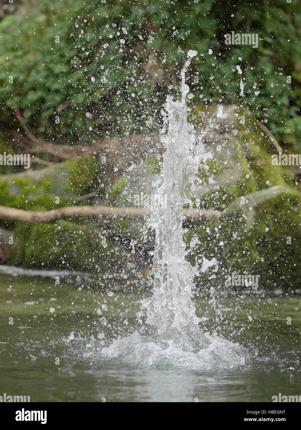 Force of water nature Stock Photo - Alamy