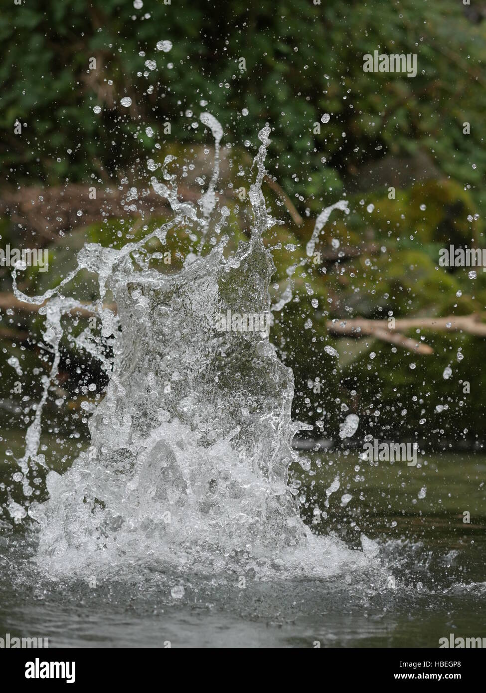 Drops of natural water splash Stock Photo - Alamy