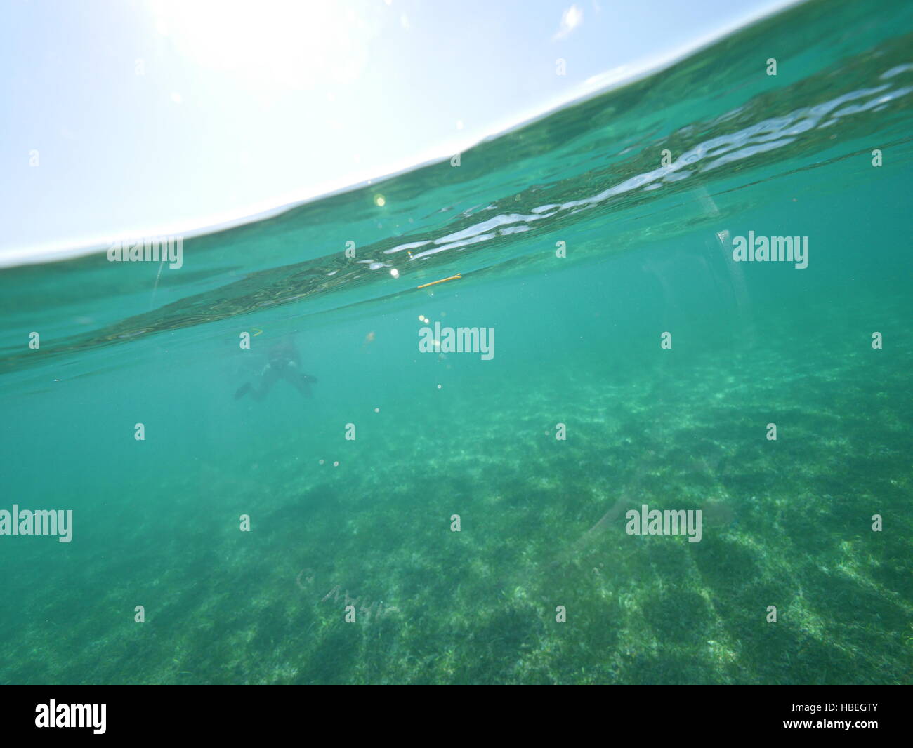 Split level of above and below water hi-res stock photography and ...