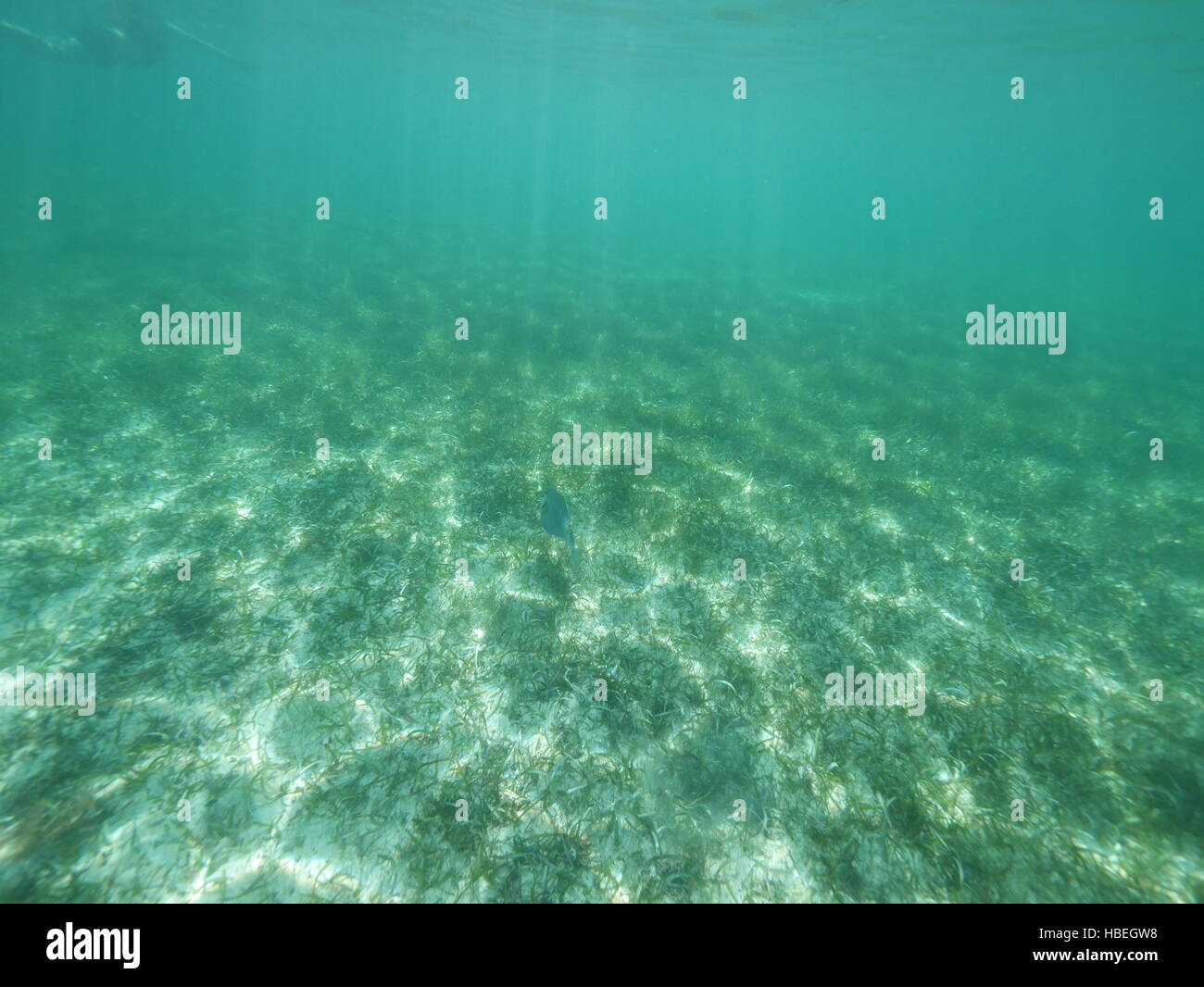 Split level image hi-res stock photography and images - Alamy