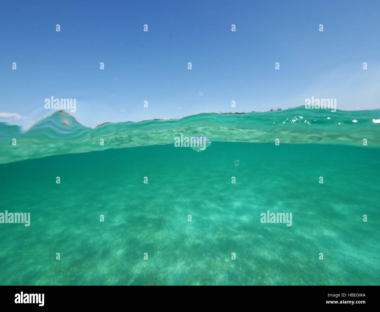 caribbean sea split level Stock Photo - Alamy