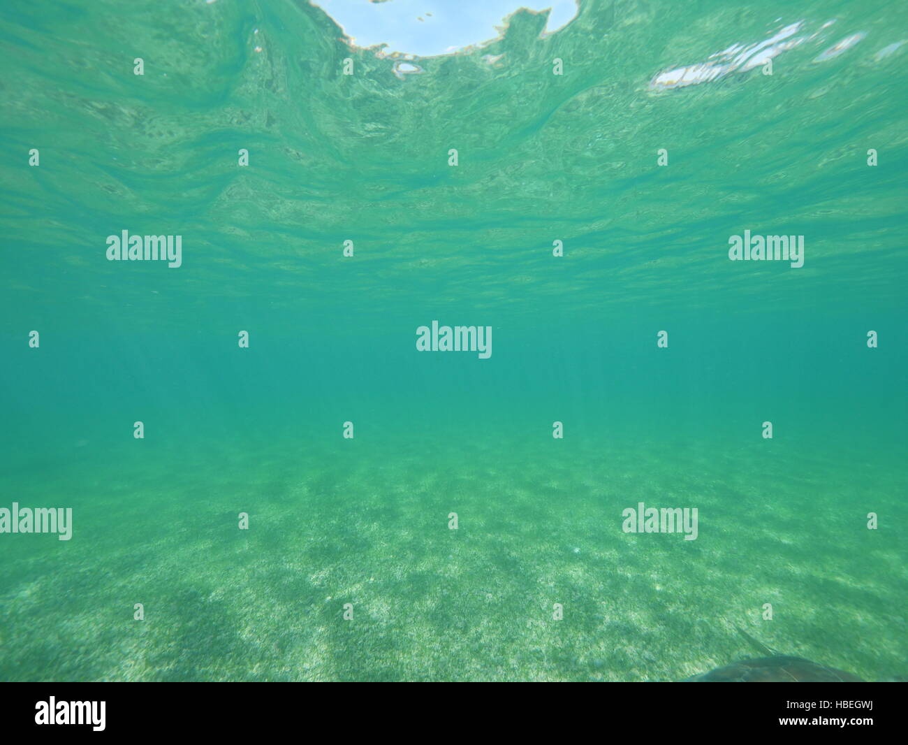 (sea or water) waterline split hi-res stock photography and images - Alamy