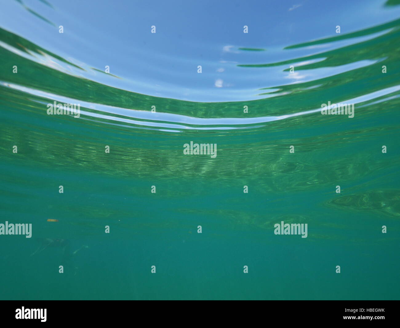 caribbean sea split level Stock Photo - Alamy