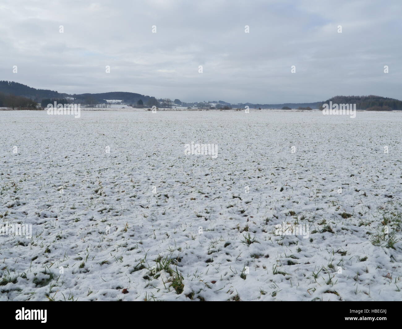 First snow covering green field Stock Photo - Alamy