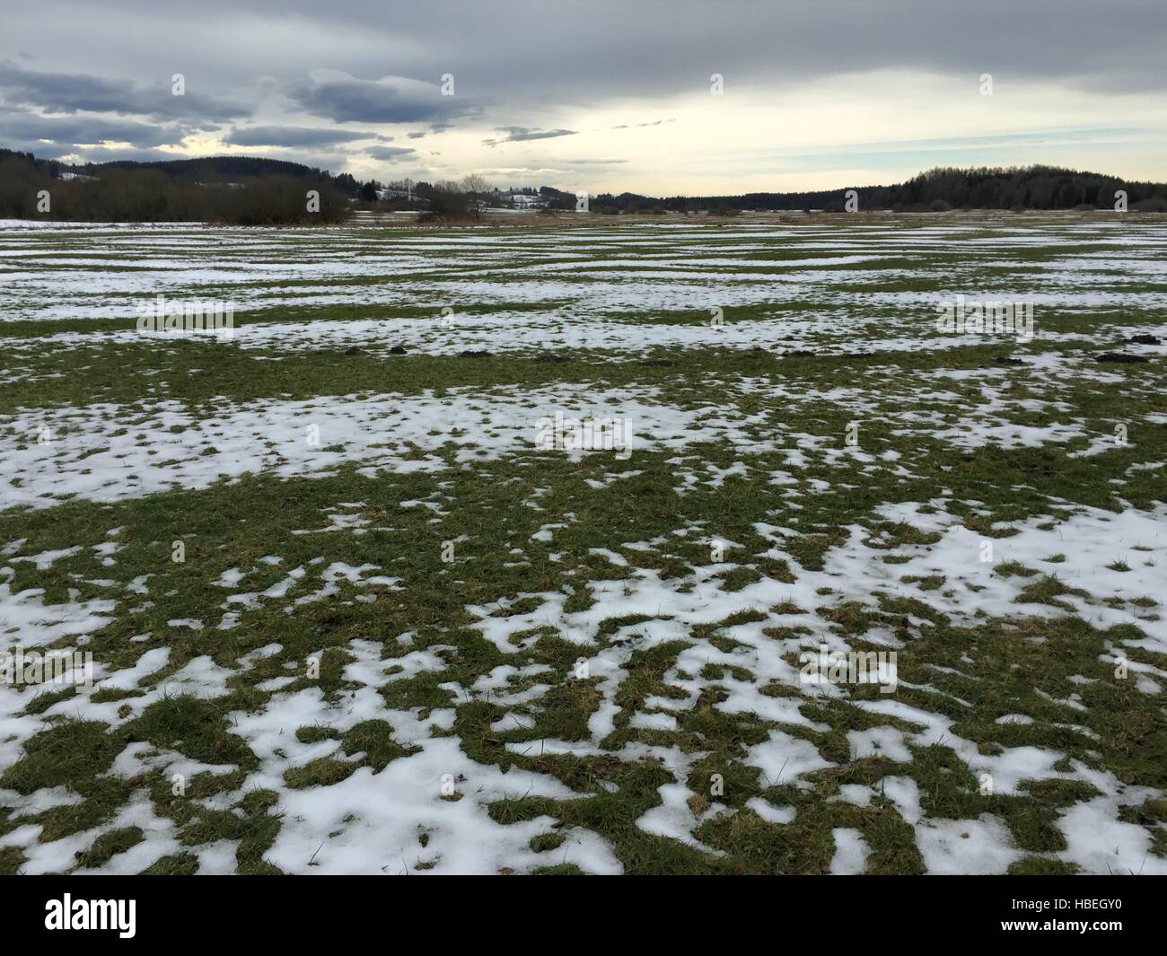Landscape of green field covered with snow Stock Photo - Alamy