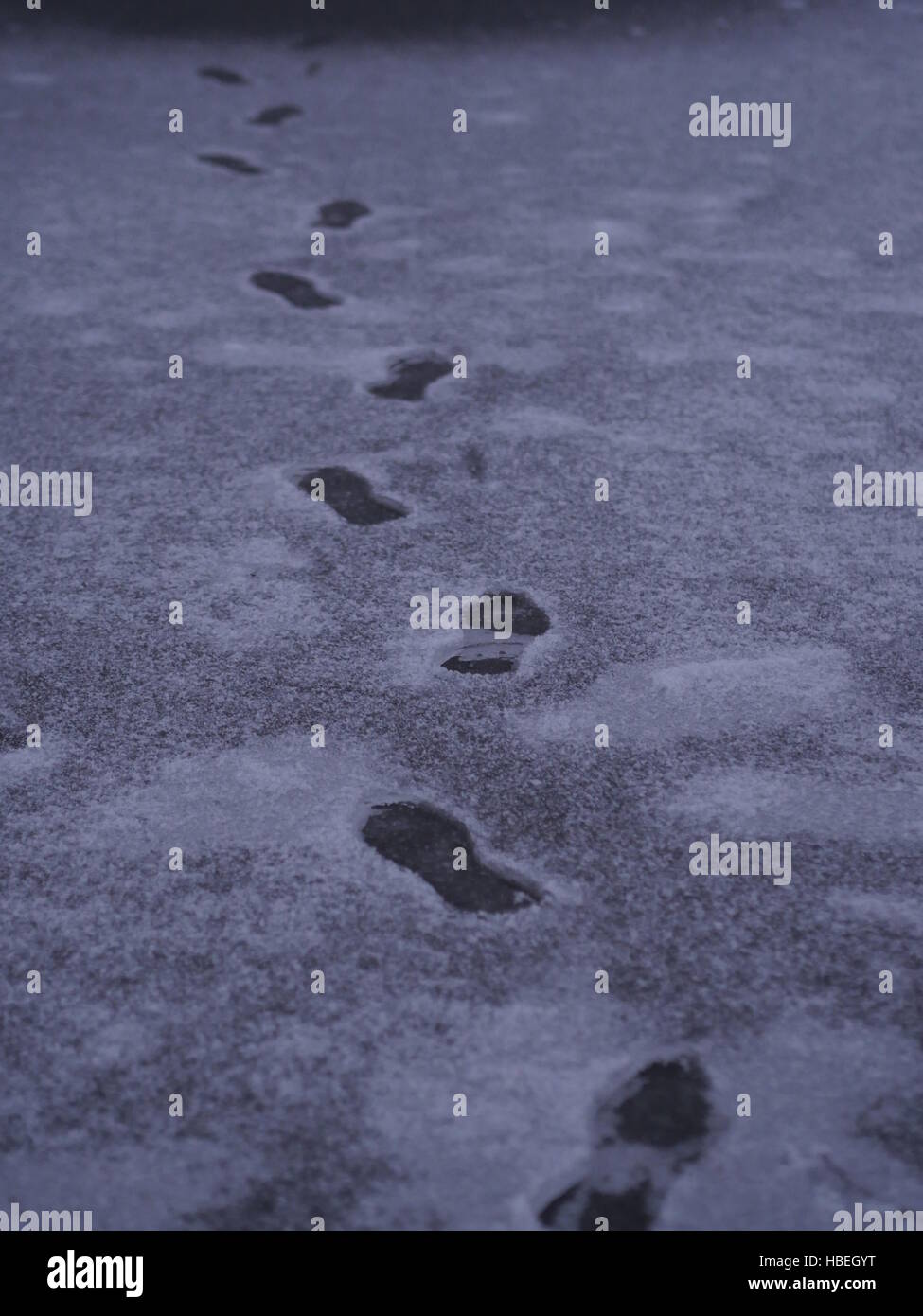 Human footsteps on winter ground Stock Photo - Alamy