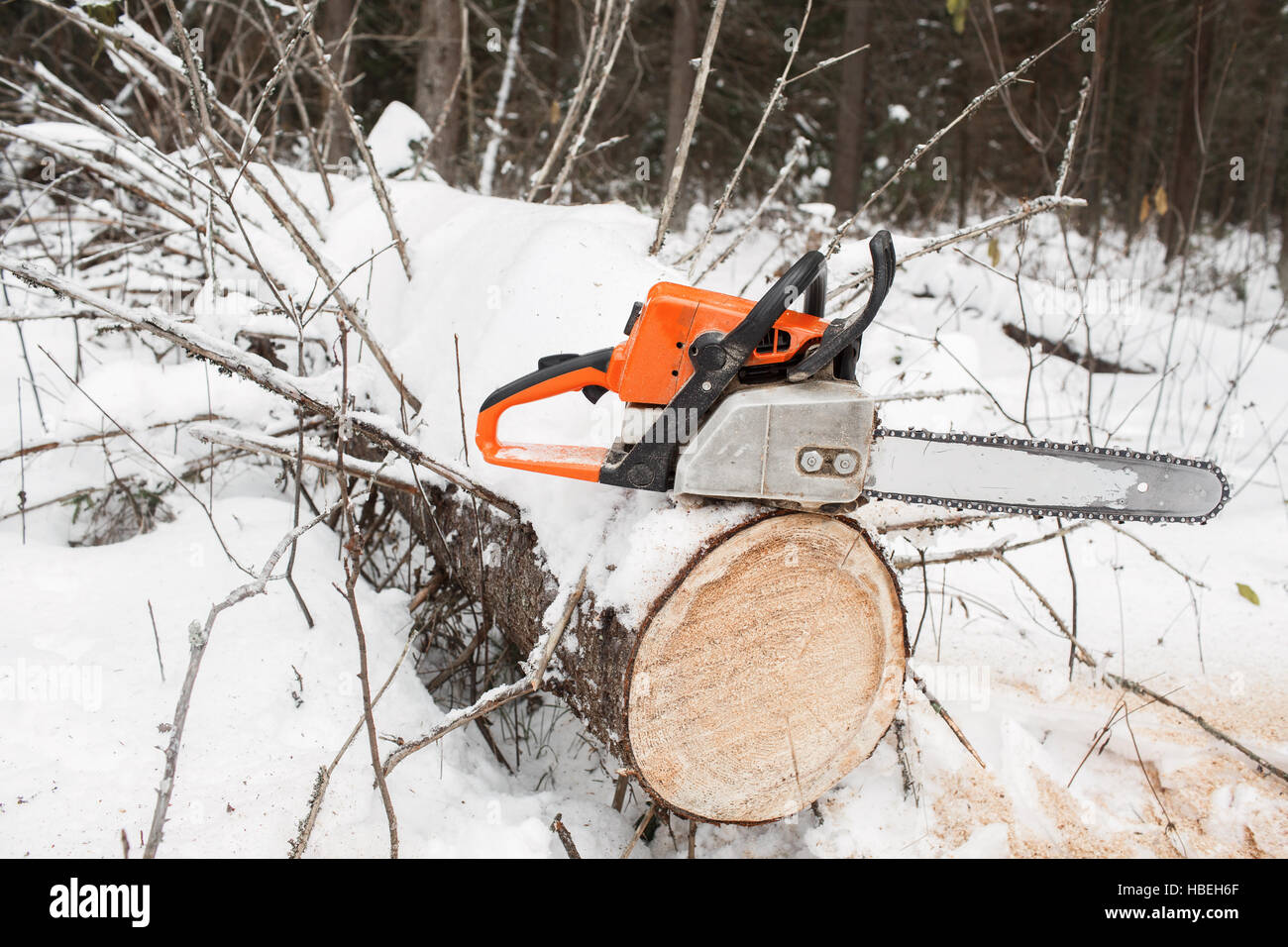 Chainsaw on stump in forest hi-res stock photography and images - Alamy
