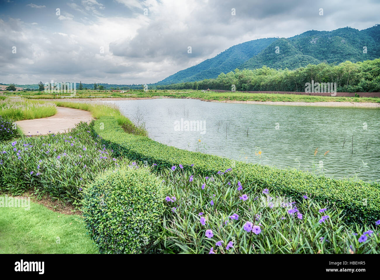 Beautiful view of a small lake edged by green trees at autumn cloudy ...