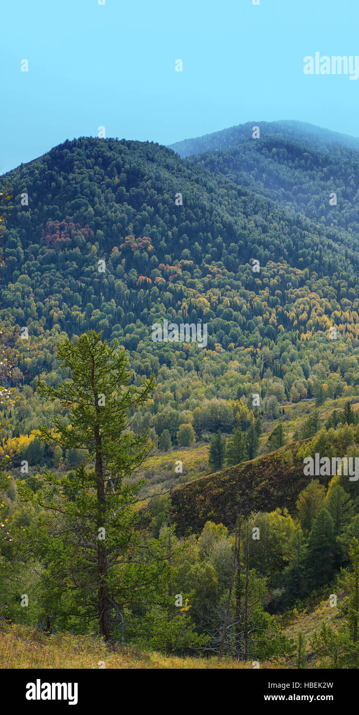 Altay mountains hi-res stock photography and images - Alamy