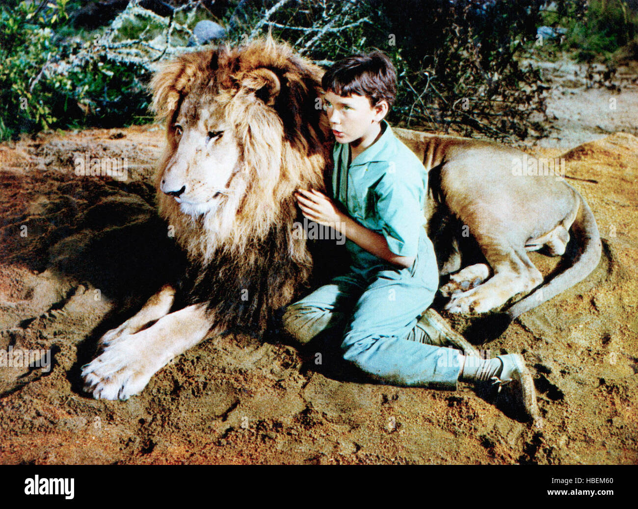 THE LION, Pamela Franklin, 1962, TM & Copyright © 20th Century Fox Film ...