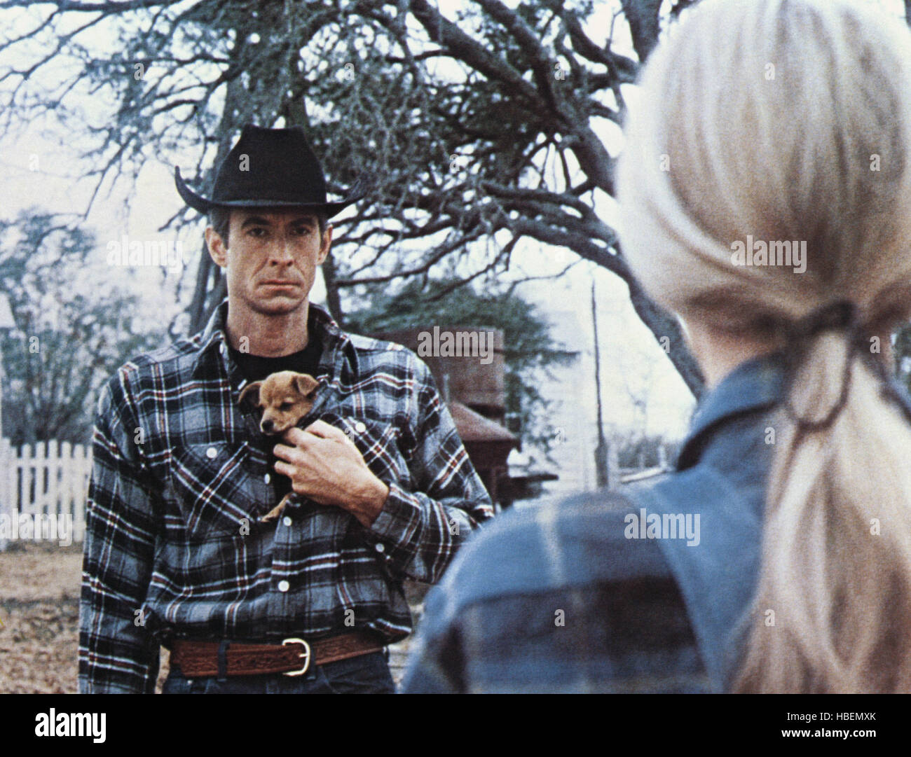 LOVIN' MOLLY, Anthony Perkins, Blythe Danner, 1974 Stock Photo - Alamy