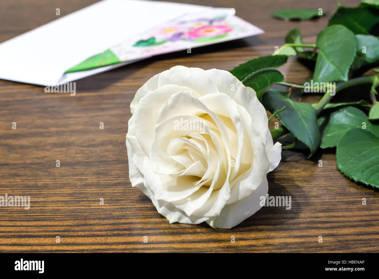 White rose and a letter of congratulation Stock Photo - Alamy