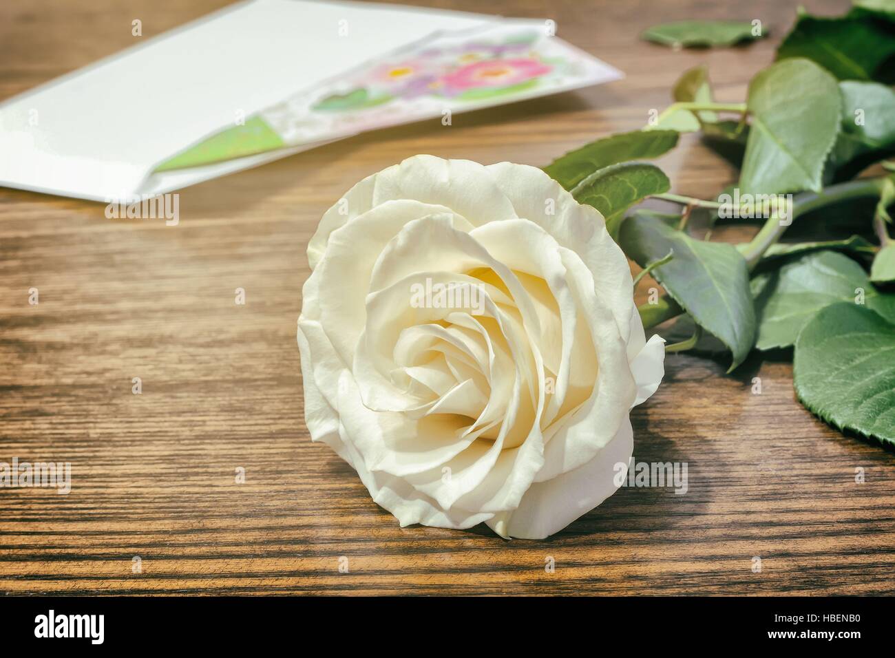 White rose and a letter of congratulation Stock Photo - Alamy
