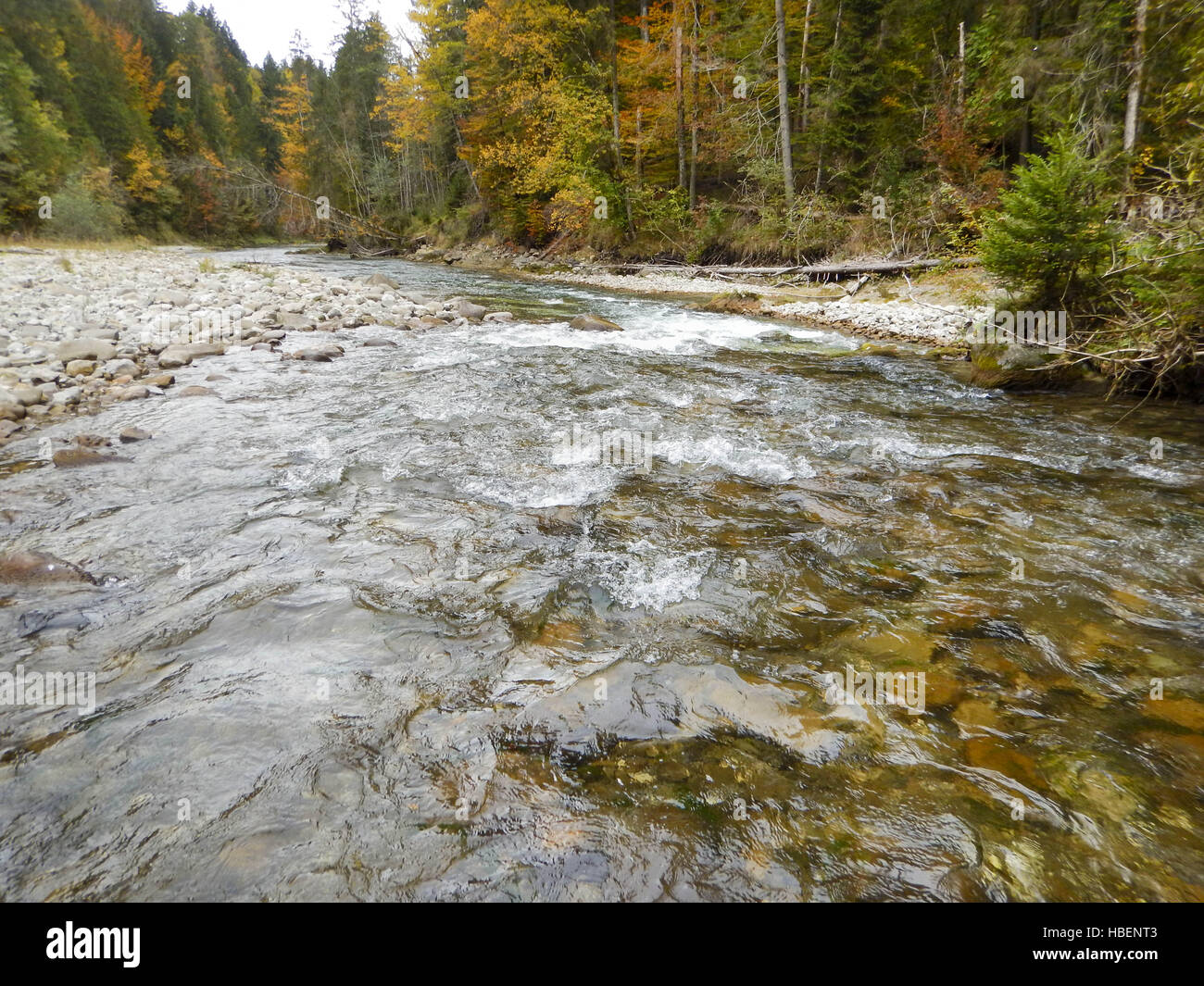 river Ammer in Bavaria in natural canyon Stock Photo - Alamy