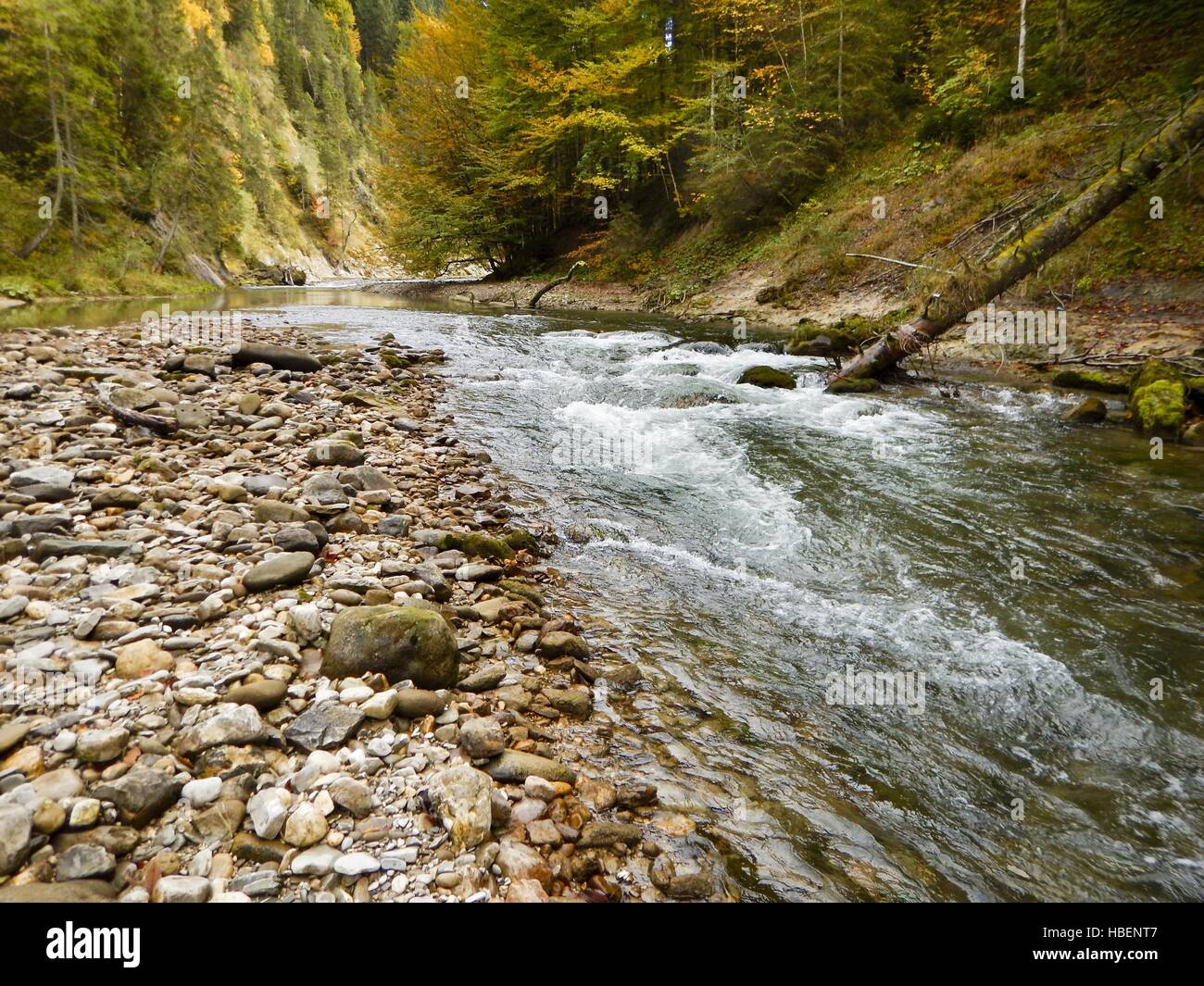 river Ammer in Bavaria in natural canyon Stock Photo - Alamy