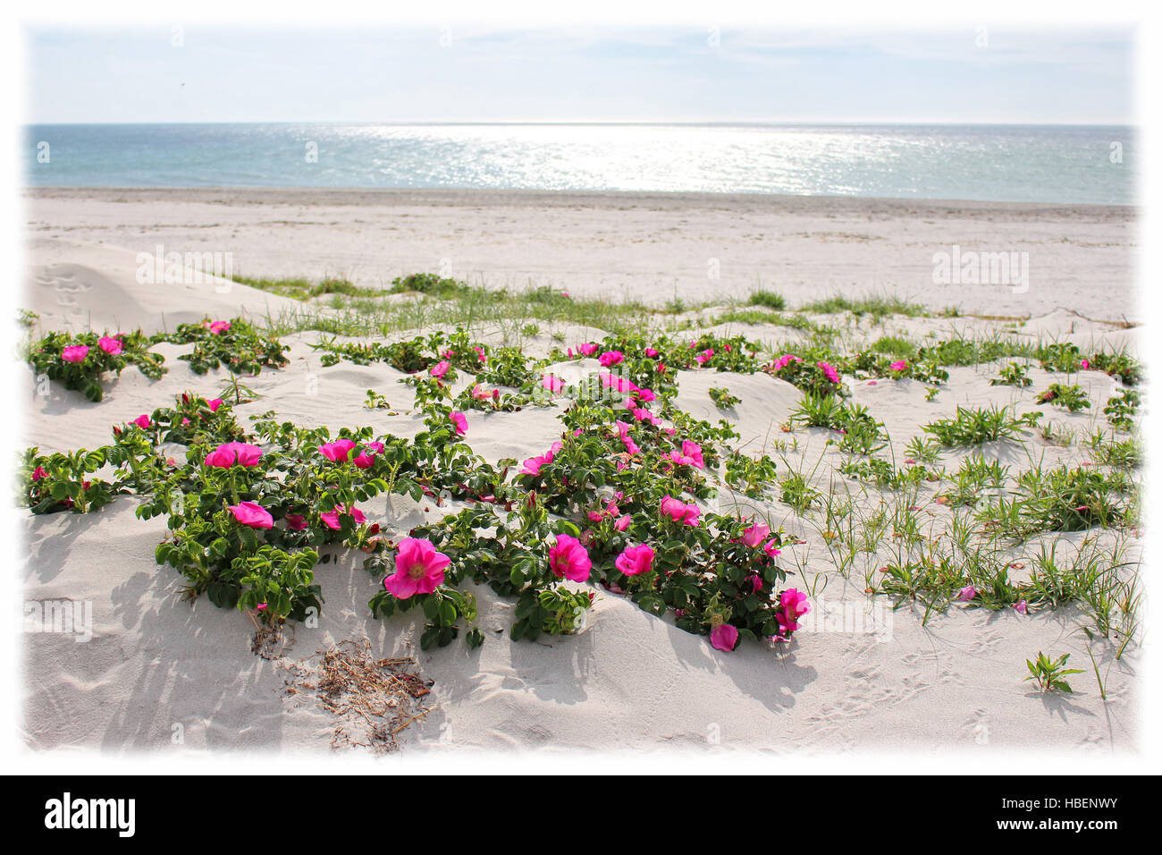 Look At The Baltic Sea Stock Photo - Alamy