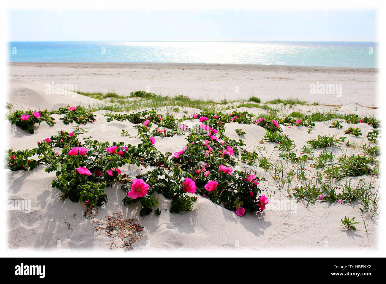 Look At The Baltic Sea Stock Photo - Alamy