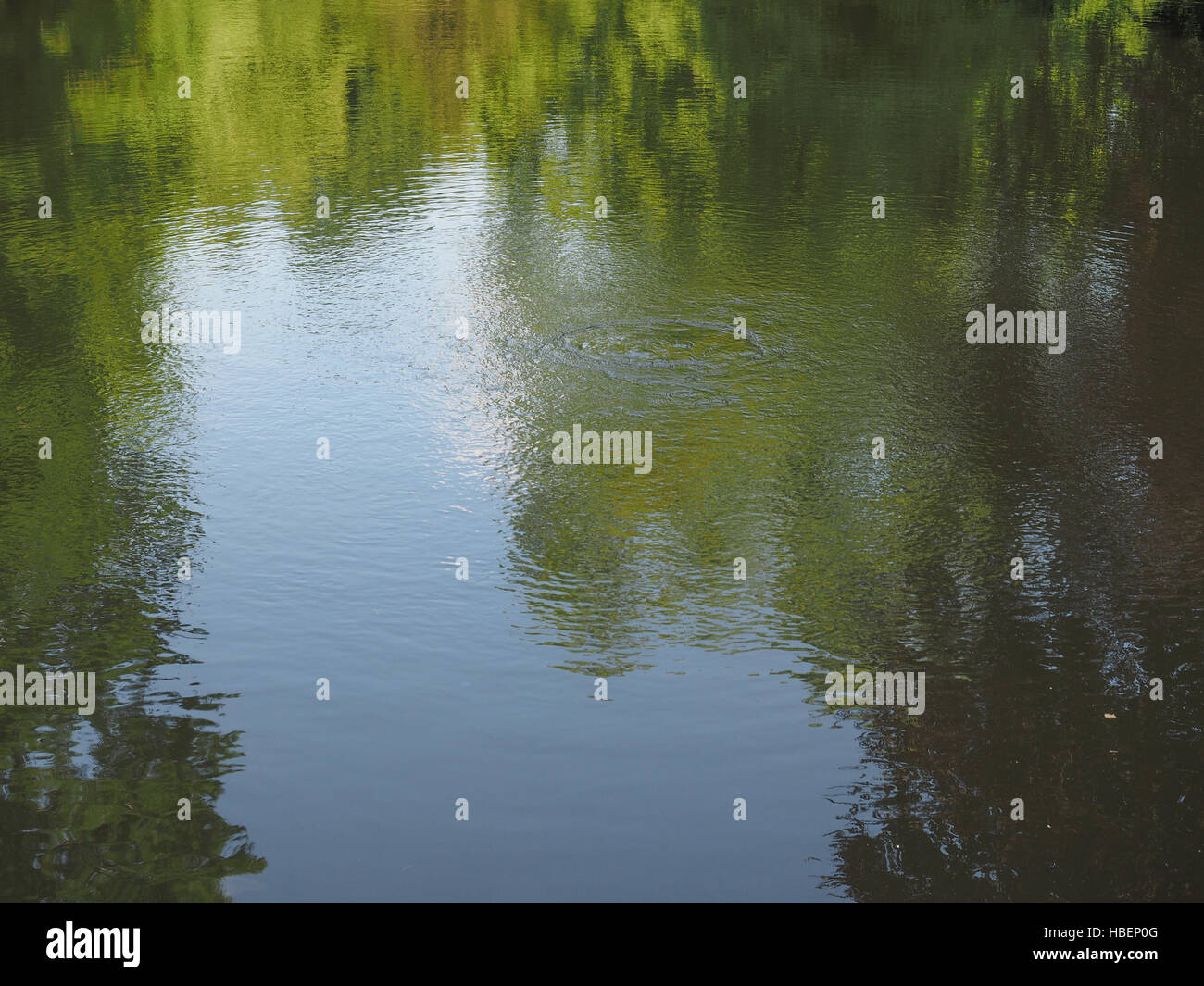 Water pond background Stock Photo - Alamy