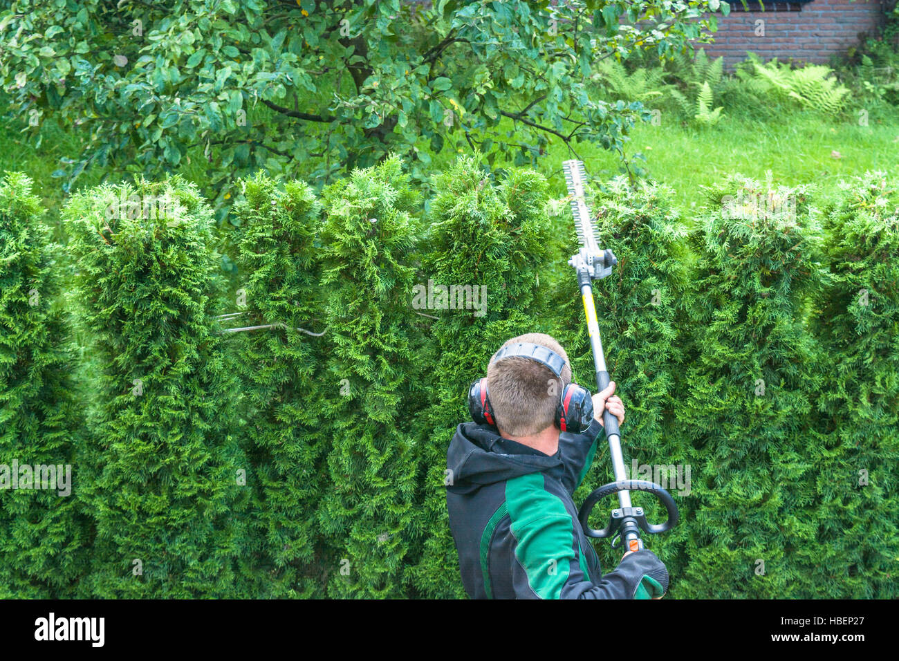 Lawn hedges hi-res stock photography and images - Alamy