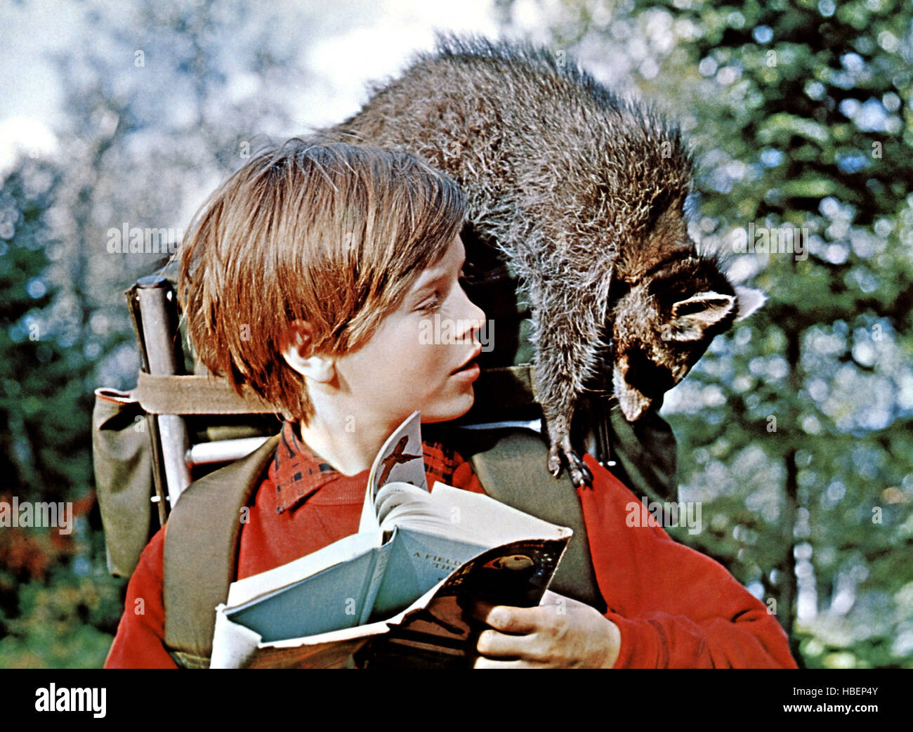 MY SIDE OF THE MOUNTAIN, Ted Eccles, 1969 Stock Photo - Alamy