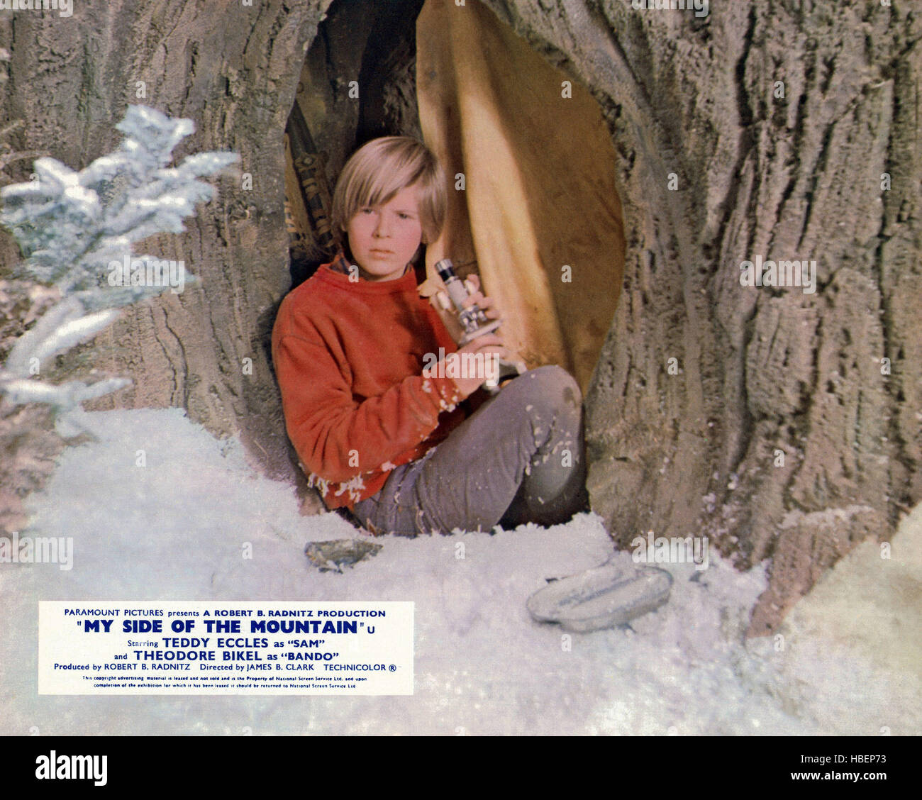 MY SIDE OF THE MOUNTAIN, Ted Eccles, 1969 Stock Photo - Alamy