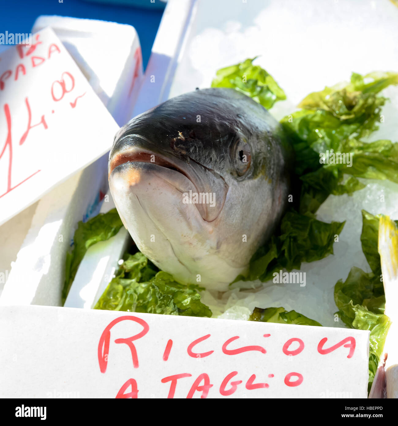 Ricciola in market Stock Photo - Alamy