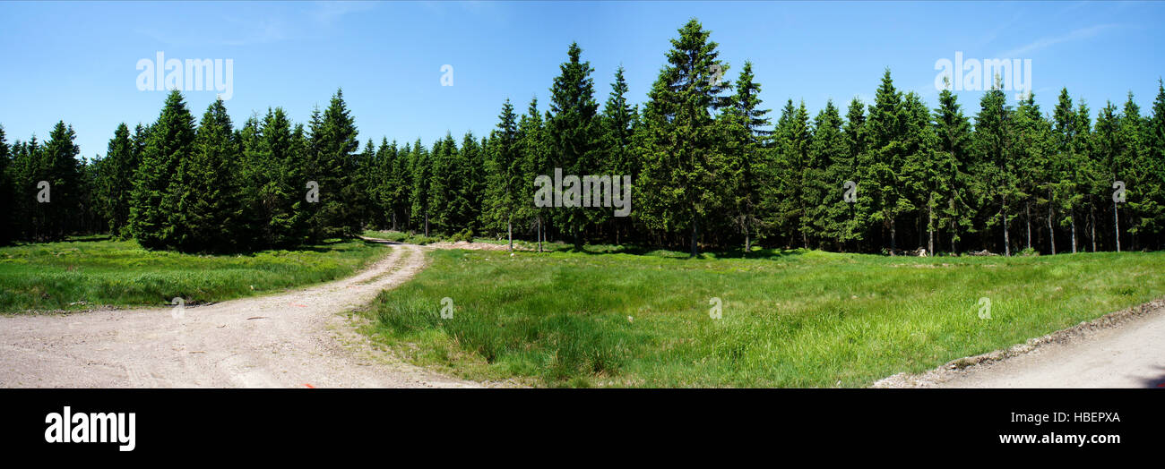 Hikin path hi-res stock photography and images - Alamy