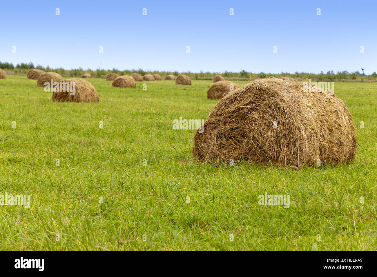 Dry stacks hi-res stock photography and images - Alamy