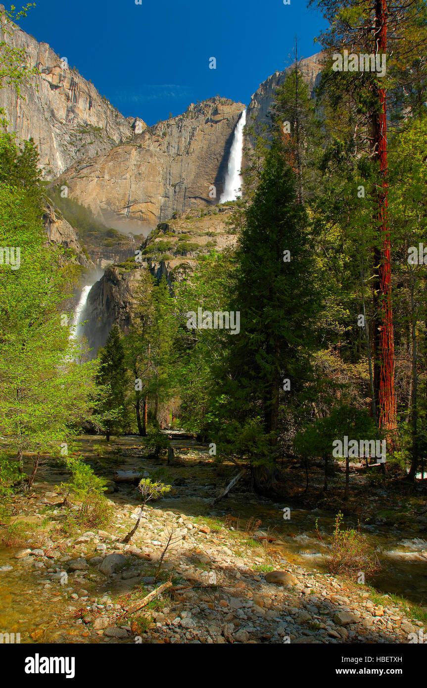 John muir cabin hi-res stock photography and images - Alamy