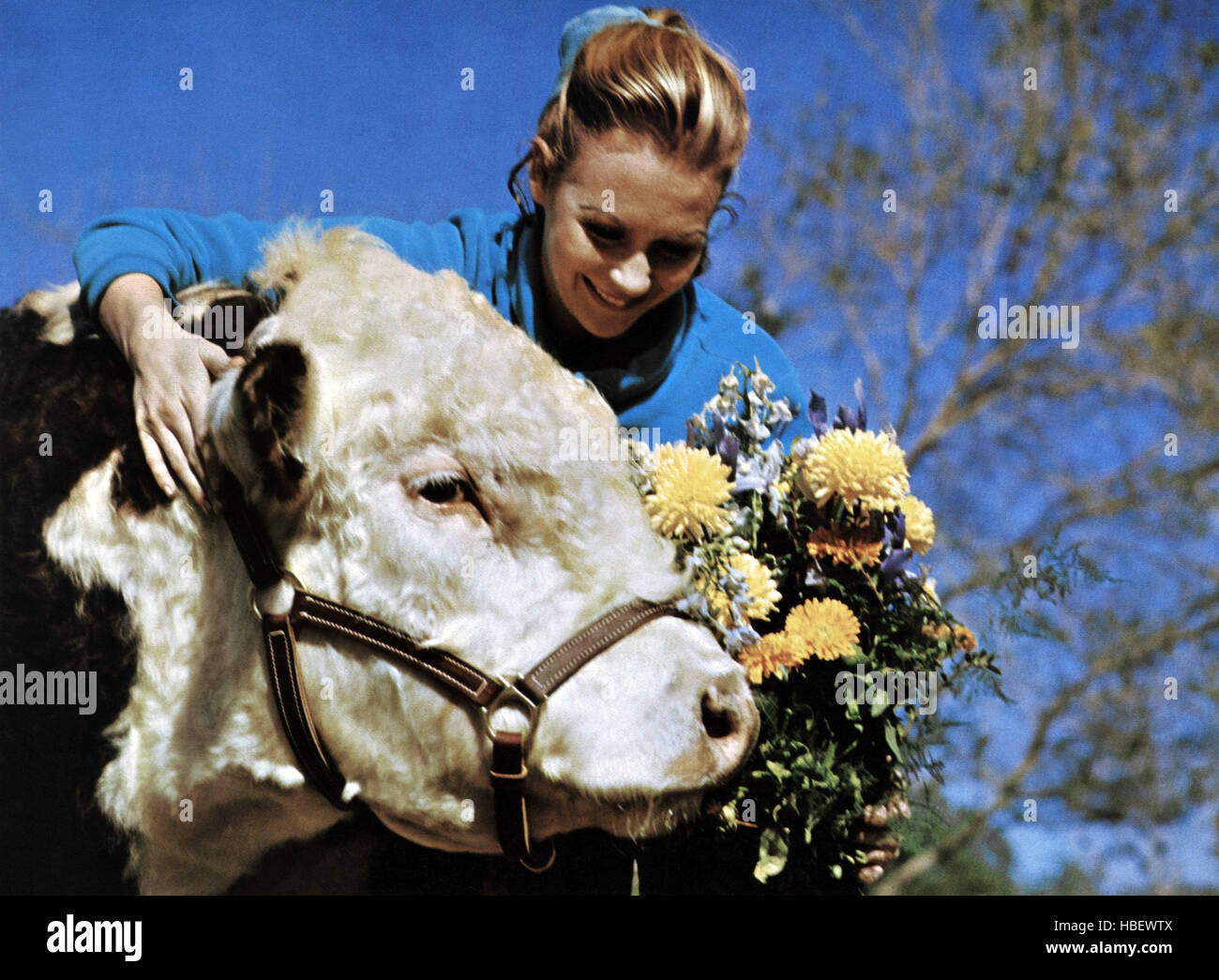 THE RARE BREED, Juliet Mills, 1966 Stock Photo - Alamy