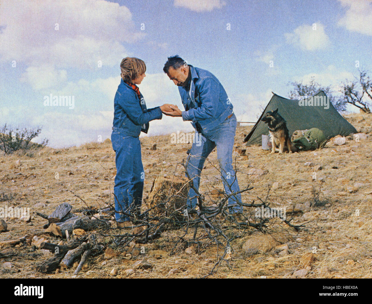 RAGE, Nicolas Beauvy, George C. Scott, 1972 Stock Photo - Alamy