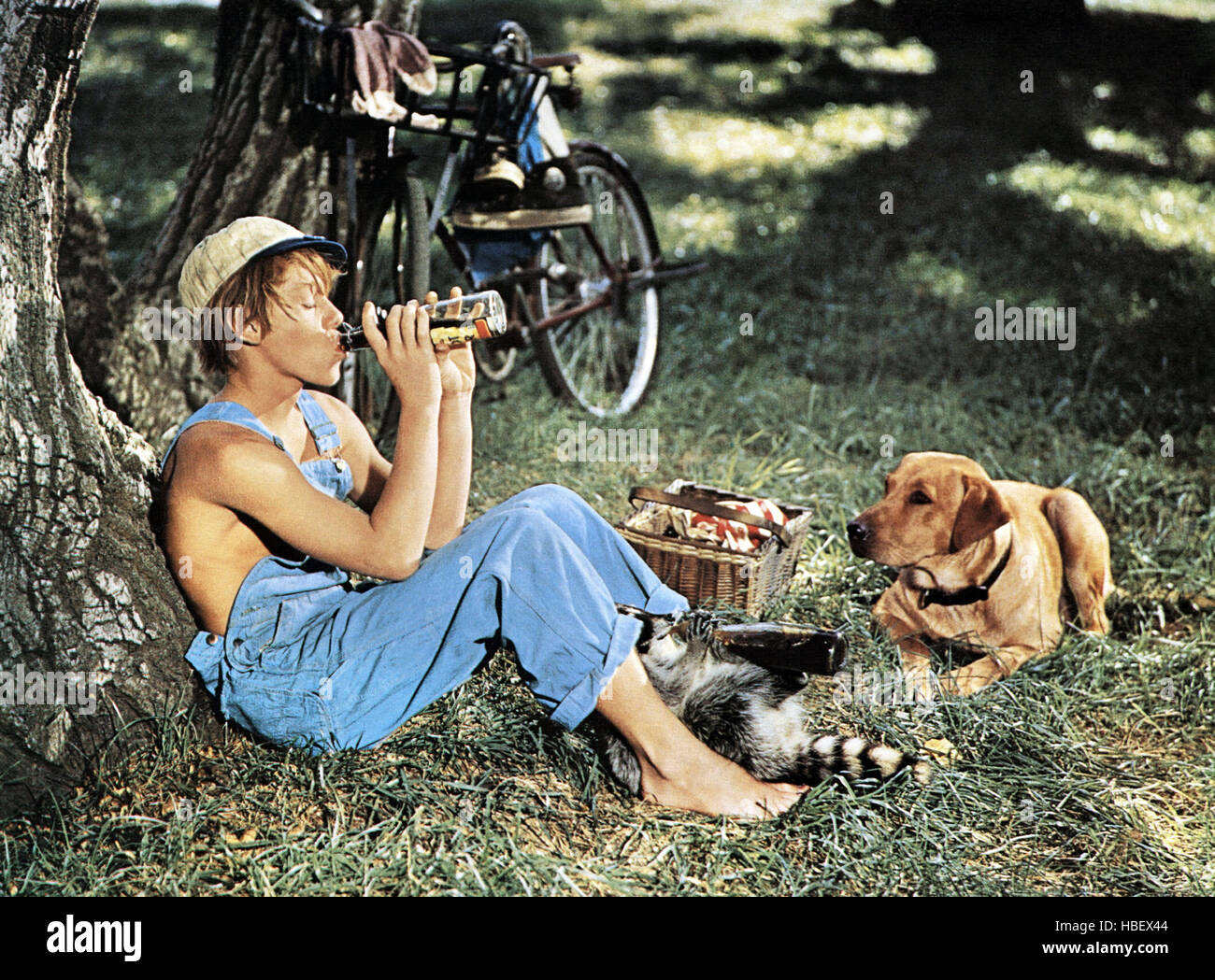 RASCAL, Bill Mumy, 1969 Stock Photo - Alamy