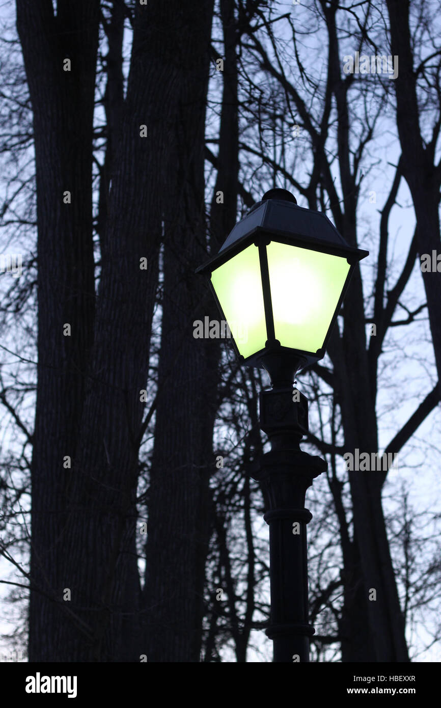 Street light and silhouettes of trees Stock Photo - Alamy